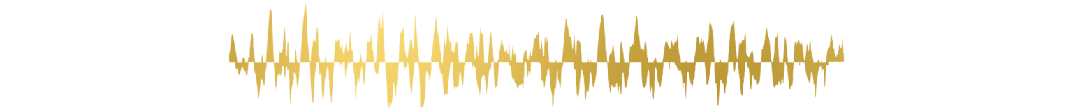 Larsen Original Viola Strings for Orchestral Performance.