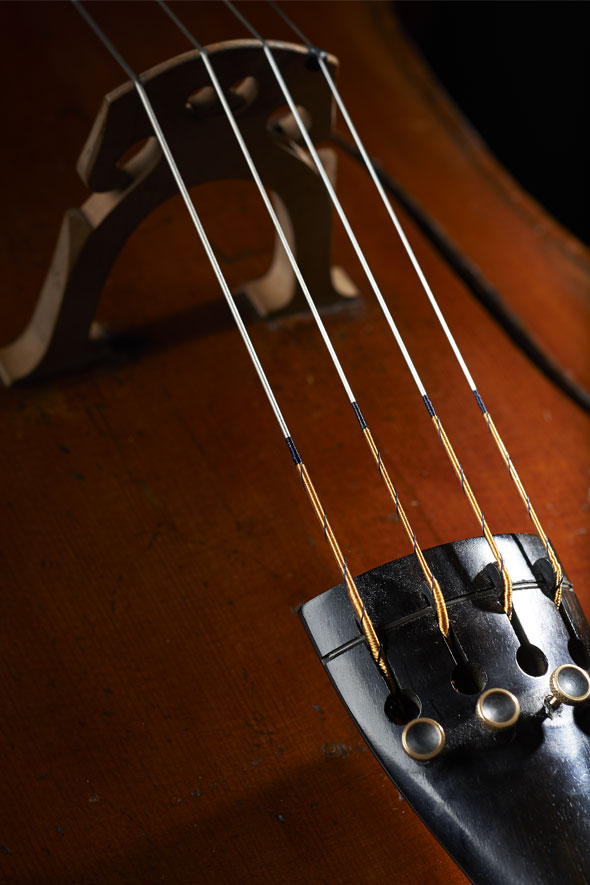 cello-unlimited - Larsen Strings