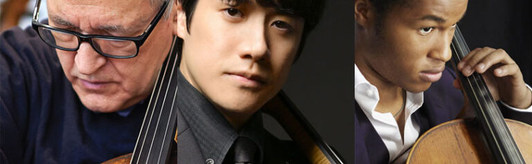 Larsen Cello String Guides: Care and Maintenance - Larsen Strings